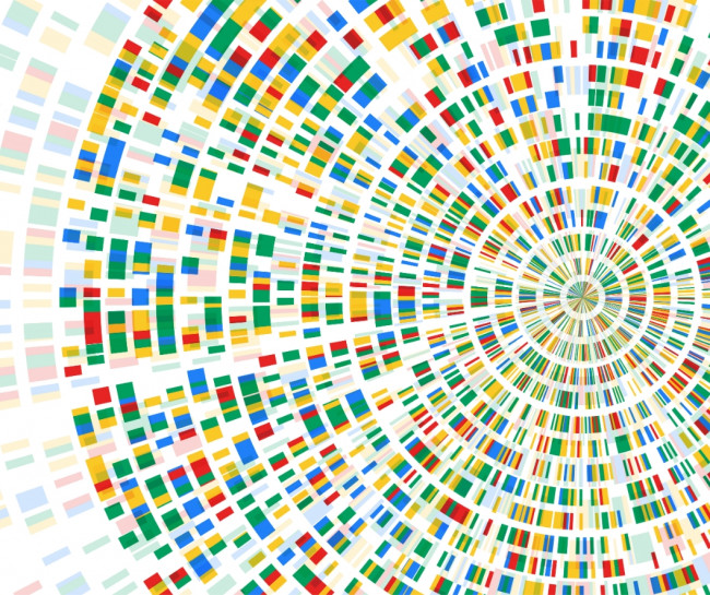 Study identifies genetic causes of different developmental disorders in 5,500 paediatric ...